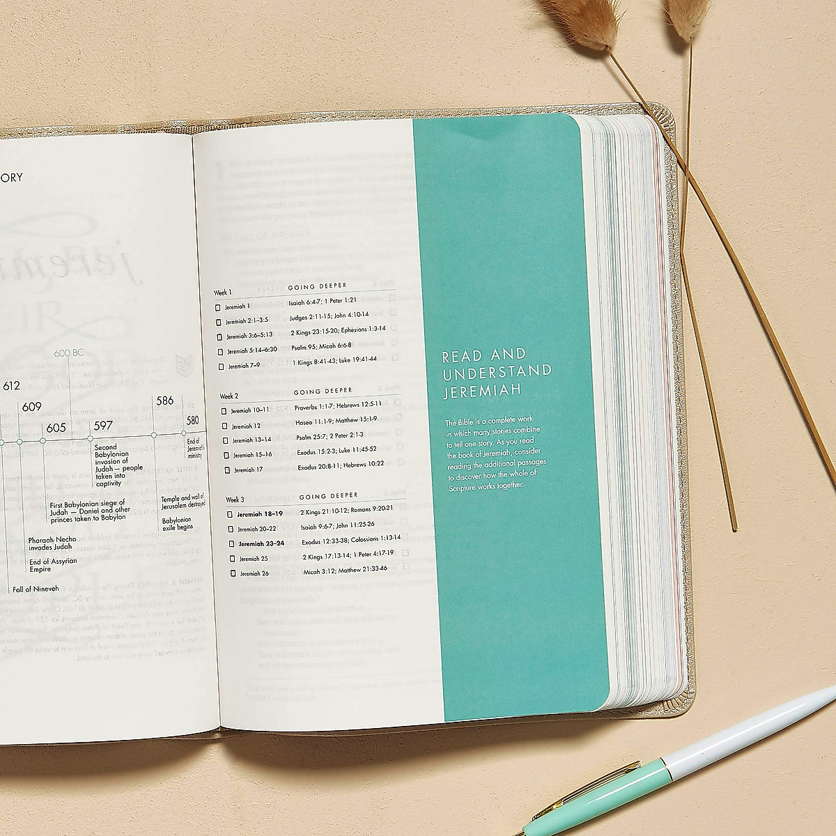 CSB She Reads Truth Bible, Champagne Gold LeatherTouch, Black Letter, Full-Color Design, Wide Margins, Journaling Space, Devotionals, Reading Plans, Single-Column, Easy-to-Read Bible Serif Type