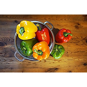 RSVP International International Endurance Stainless Steel Precision Pierced Colander, 5-Quart (Punch-5)