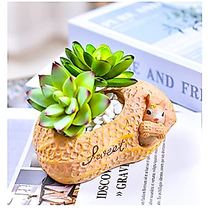 Cute Little Squirrel Flowerpot with Drainer Garden Flowerpot Resin Succulent Potted Bonsai Plant Stand Home Desk Mini Ornaments Cartoon Ornaments Does Not Contain Plants