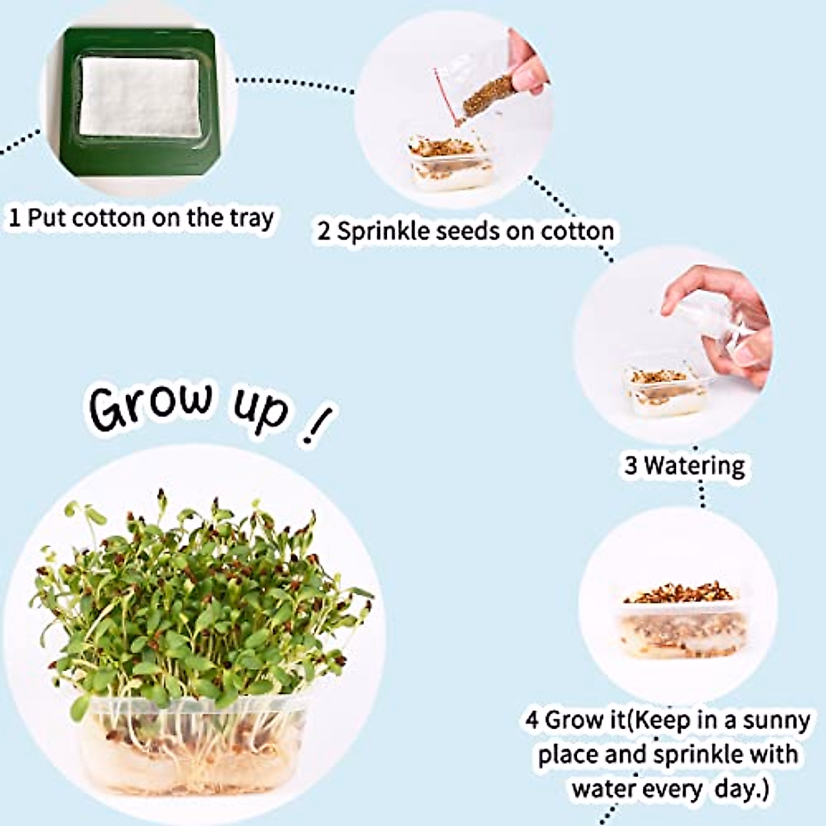 Grow Your Own Jungle Garden - Alfalfa Microgreen Growing Kit 3D Garden Scene with Attachable Animal Cards, Best Birthday Crafts Gifts for Girls & Boys