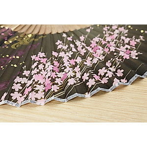 まつみ工芸 Asahi King 136001 Folding Fan Dragon Black