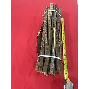 carga de 21 palos santeria palo monte palo mayombe (21)