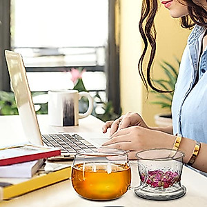 Tosnail 2 Pack 13 Ounce Glass Tea Cup with Lid and Tea Infuser Set, Tea Mugs with Strainer, Clear Teacups with Tea Filter, Glass Cups for Loose Tea Brewing