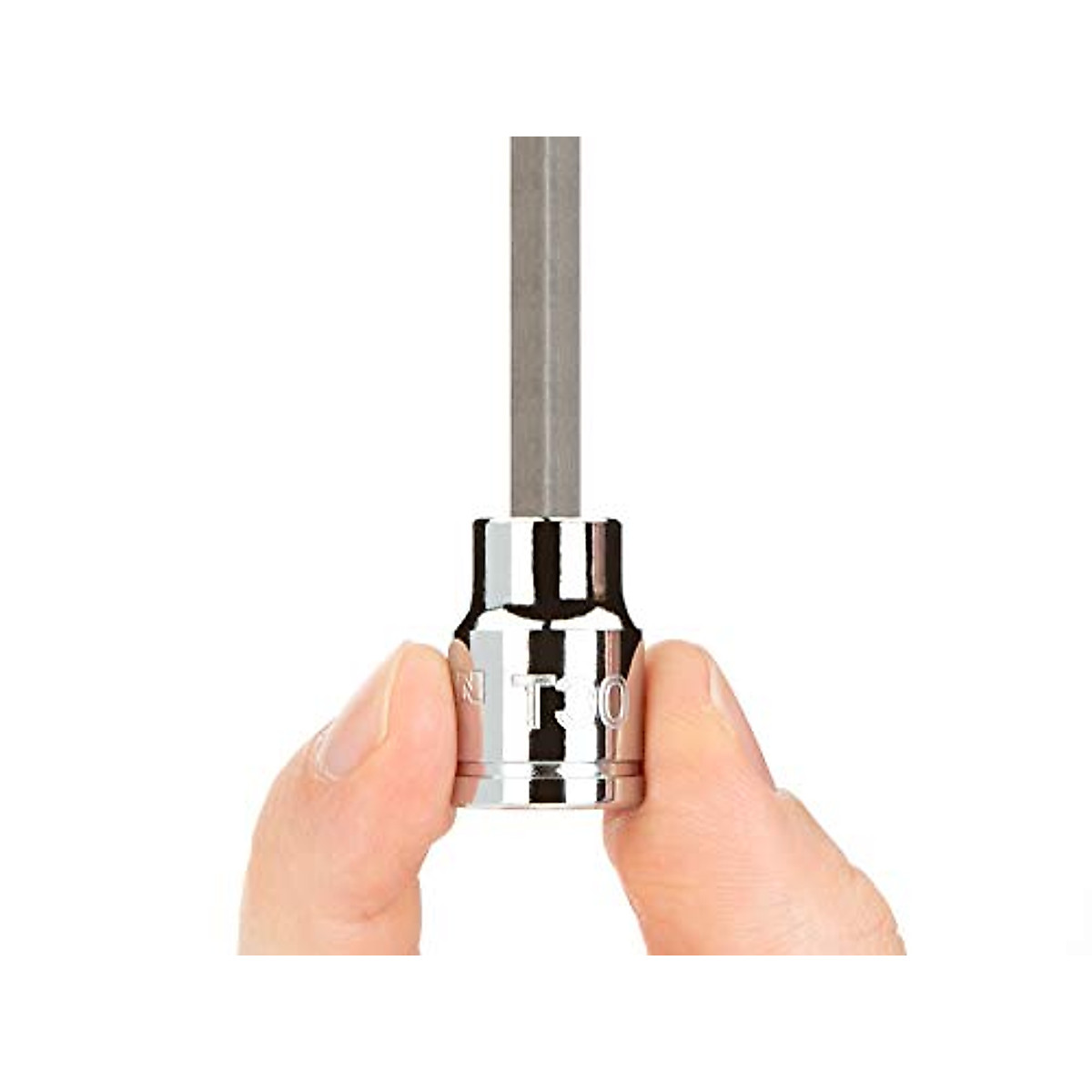 TEKTON 3/8 Inch Drive Long Torx Bit Socket Set, 12-Piece (T10-T60) | SHB91305