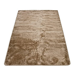 Euro Collection Solid Color Area Rug Rugs Slip Skid Resistant Rubber Backing Machine Washable More Color Options (Beige, 3'3" x 4'11")
