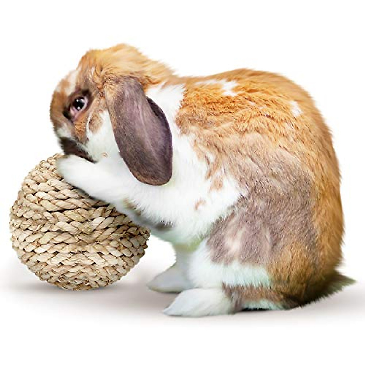 SunGrow Cat Sisal Rope Scratcher Ball & Ferret, Rabbit Anti Chew Shoe, Stop Chewing & Scratching Furniture, Teething for Guinea Pigs, Chinchillas, Pocket Pets, 1 Pack