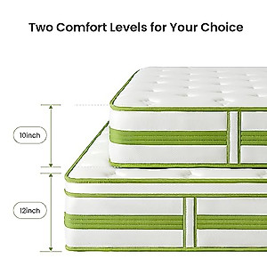 Dourxi 12 Inch Queen Mattress, Hybrid Mattress in a Box, Gel Memory Foam and Pocket Springs for Cooling Sleep & Pressure Relief, Organic Cotton Fabric Cover, Plush Feel, 80"*60"*12", Queen Size