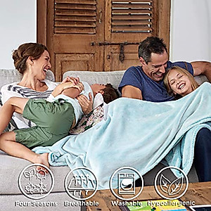 Faux Fur Throw Blanket- Luxurious, Soft, Hypoallergenic Premium Faux Chinchilla Fur Blanket with Faux Mink Back and Gift Box, 60”x70” by LHC (Brown)