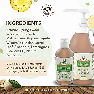 Nature Sustained Organic Shampoo - Raw & Wildcrafted with Probiotics, Hypoallergenic Natural & Sulfate Free Shampoo for Sensitive Scalp, Dry Hair, Dandruff, Eczema & Psoriasis, 9oz, Lemongrass