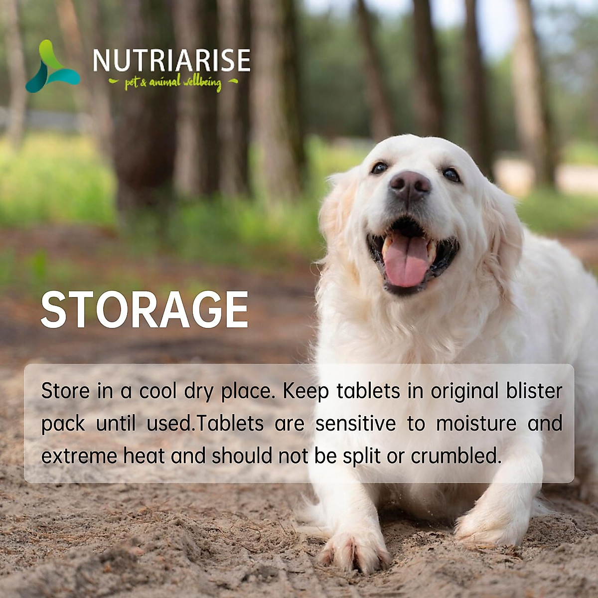 NUTRIARISE Same for Dogs and Cats - S-Adenosyl-L-Methionine, Liver Supplements for Dogs and Cats - Brain Supplement for Dogs and Cats, Promotes Cognitive Support, Liver Support Supplement