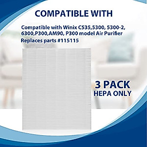 Fizerneer 115115 Size 21 Replacement Filter A Compatible with Winix C535 C909, Winix PlasmaWave 5300, 6300, 5300-2, 6300-2, P300 Plasma wave Air Purifier, True HEPA Filter Only 3 Pack