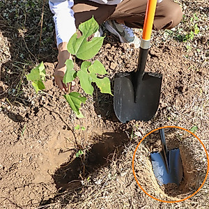 VNIMTI Shovel for Digging, 56 Inches Heavy Duty Shovel for Gardening, Round Shovel for Digging with Fiberglass Handle (Orange)