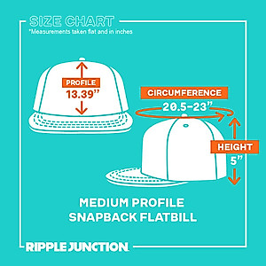 Naruto Shippuden Ichiraku Ramen Icon Hiden Leaf Village 5 Panel Structured Adjustable Adult Unisex Red and White Flat Bill Snapback Hat