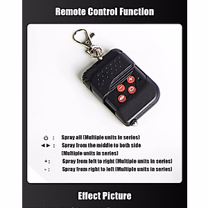 Professional Confetti Launcher Cannon Machine, Confetti Blower Machine Confetti Cannon DMX/Remote Control for Gender Reveal Weddding Disco Show Club Stage Party (2 shot)