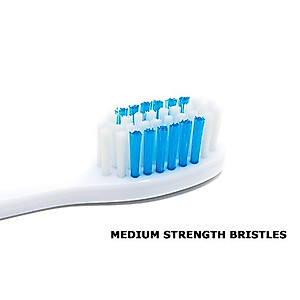 Lingito Travel Toothbrush, On The Go Folding Feature, Medium Bristle Brushes (3 Pack)