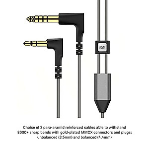 Sennheiser IE 600 in-Ear Audiophile Headphones - TrueResponse Transducers for exquisitely Neutral Sound, Detachable Cable with Flexible Ear Hooks, Includes Balanced Cable, 2-Year Warranty