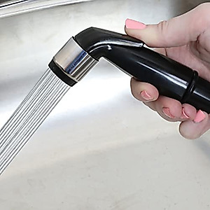 Danco 10345 9D000 Faucet Side Spray Head, Black