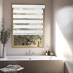 CHICOLOGY Zebra Roller Shade, 23"W X 72"H, Polyester Blend, Cordless, Basic Natural