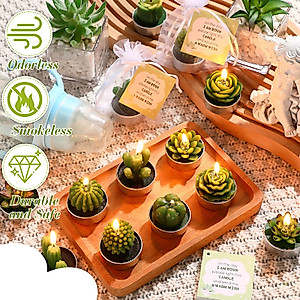 MTLEE 48 Sets Baby Shower Favors Include 48 Succulent Pumpkin Shaped Candles Fall Mini Plants Tea Lights Candles with 48 Invitations Cards and 48 Organza Bags for Baby Gender Reveal Guests(Succulent)