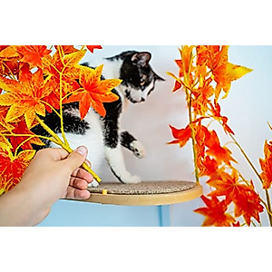 On2Pets Cat Shelves Wall-Mounted Cat Trees Cat Furniture for Climbing, Playing and Relaxing, Set of 2, Indoor Cat Shelf Made in USA… (Orange Blaze, Rectangle)