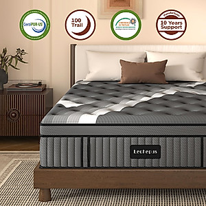 Queen Mattress,Lechepus 14Inch Soft Memory Foam Hybrid Mattress in box,Plush Feel Queen Size Mattress with Supportive Pocket Coil for Back Pain Relief,Motion Isolation, None of Fiberglass
