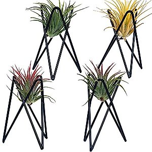 Pack of 4 Air Plant Holder Tillandsia Base, Modern Geometric Metal Air Plant Stand Airplant Display Rack, Tabletop Big Streptophylla Plant Display Table Hand for Home Office Decoration Supplies