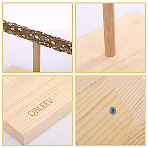 QBLEEV Bird Tabletop Training Stand Perch，Portable Parrot Tee Play Stands, Natural Wood Bird Cage Toys Gym Playground for Small Medium Parakeets Cocktails Conures Lovebirds Finch (Large)