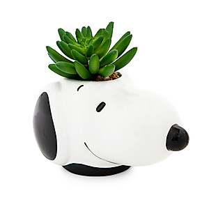 Peanuts Snoopy Face Ceramic Mini Planter with Artificial Succulent | Small Flower Pot, Faux Indoor Plants for Desk Shelf, Home Decor Trinket Tray | Cute Charlie Brown Gifts and Collectibles