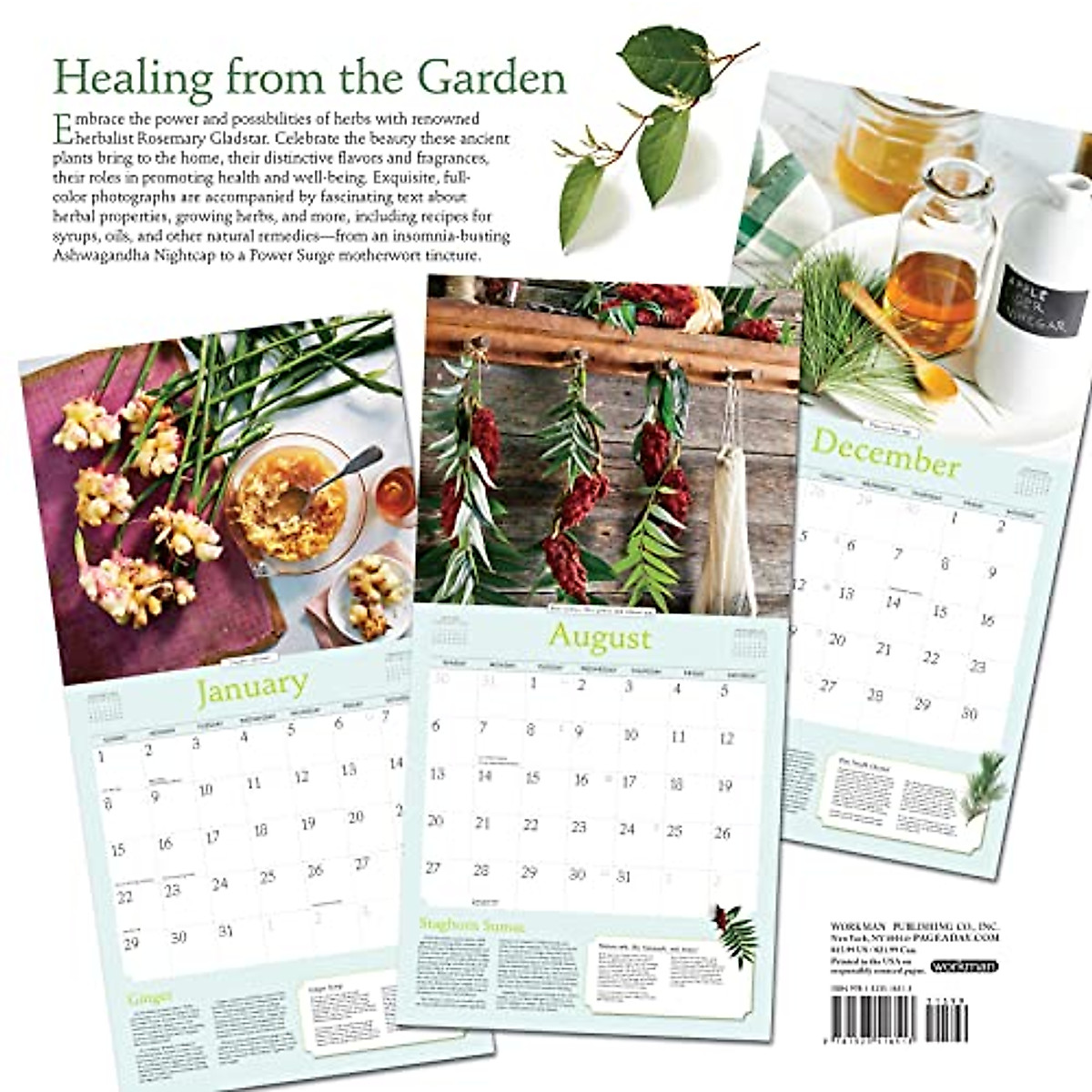Rosemary Gladstar's Herbs Wall Calendar 2023: Recipes and Remedies for Health and Home