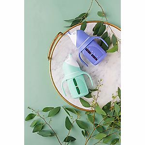 The Minis - Set of 2 - Glass Sippy Cup for Toddlers - 5oz | Spill-Proof | Silicone Straw | Mint Green & Indigo Purple | Liquids Never Touch Plastic