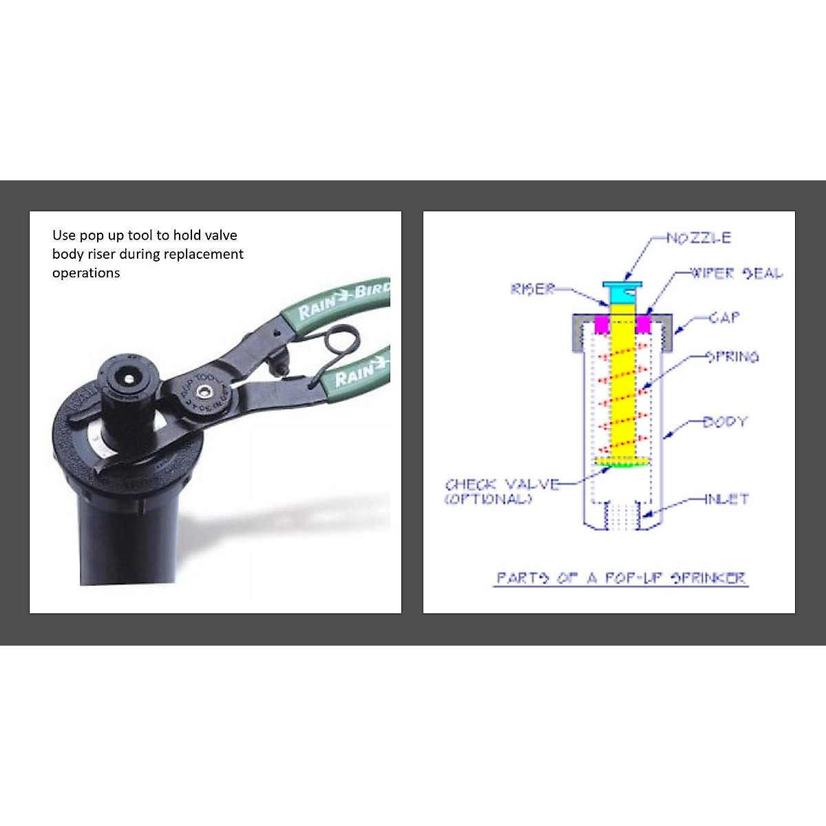 Modtek Replacement Pop UP Sprinkler Heads for RainBird, Hunter, Orbit Pop Up Sprinklers, Sprinkler Color May Vary. (5, 8AN)