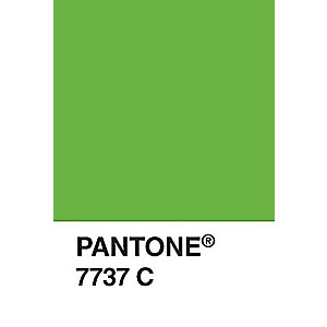 Pantone Postcard Box: 100 Postcards (Pantone Color Chip Card Set, Art Postcards)