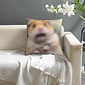 Scared Hamster Cute Throw Pillow Covers Novelty Square Pillow case Home Decorative Bedroom Couch Sofa Cushion case 18x18 in
