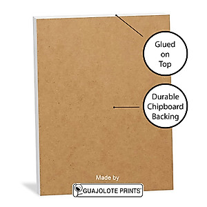 Guajolote Prints Funny Novelty Memo Pads Bundle (4 Items) Everything is Fine, This is my life Now, I have no idea what I'm doing, and I'm not even trying anymore