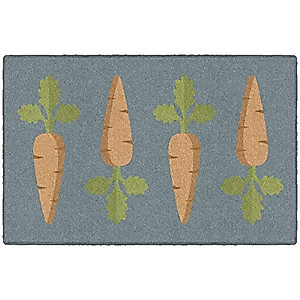 Brumlow MILLS Spring Carrots Easter Print Indoor or Outdoor Area Rug for Living Room, Bedroom Carpet, Dining, Kitchen or Entryway Rug, 30" x 46"