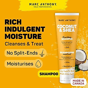 Marc Anthony, Hydrating Coconut Oil Shea Butter Shampoo 8.4 oz Shampoo for Unisex