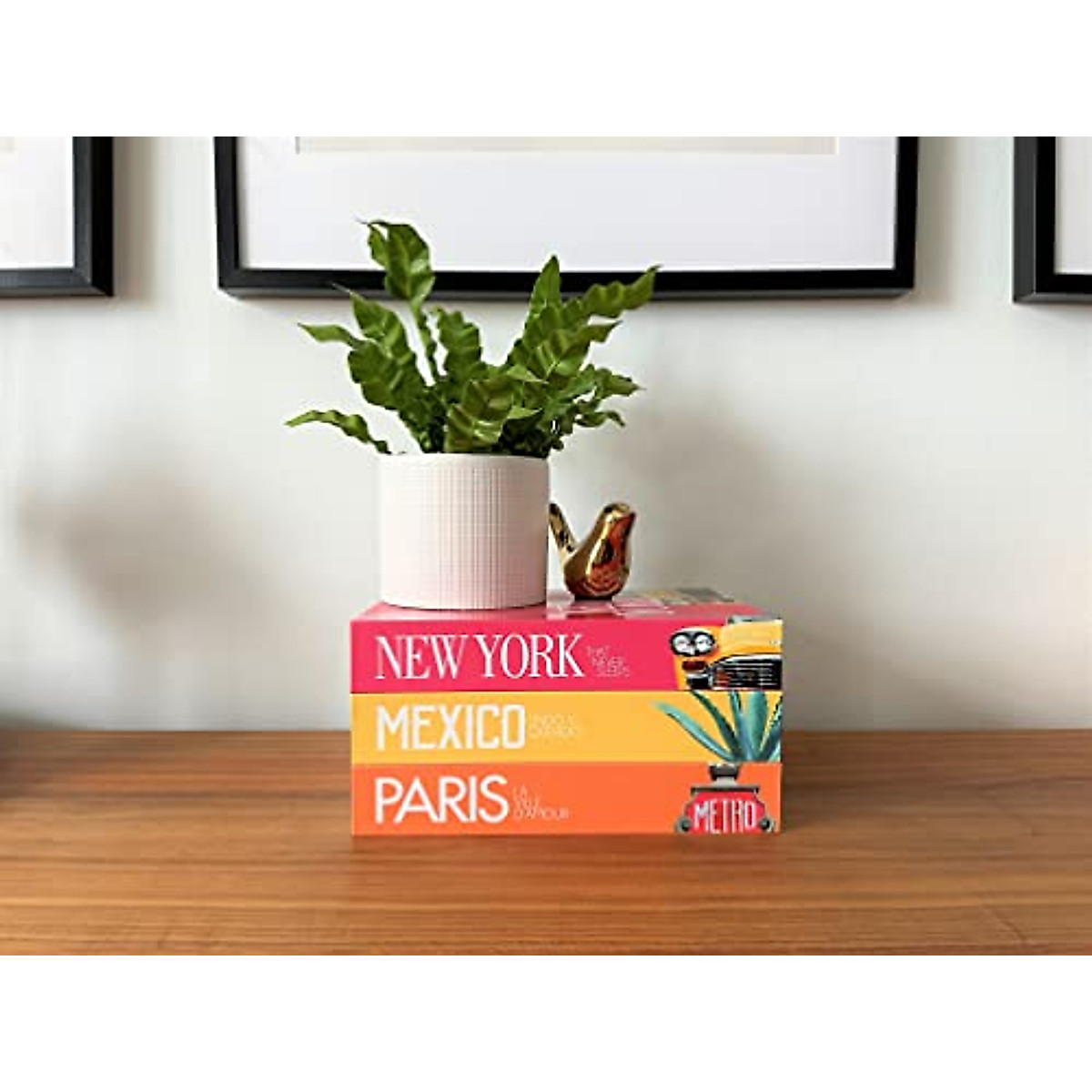 InspireMe Decorative Books for Home Decor, Faux Book Storage Box, Travel Table Books - Paris, New York, Mexico - Set of 3