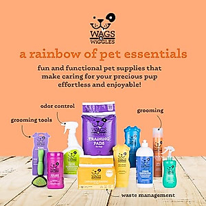 Wags & Wiggles Revive Waterless Bath Spray for Dogs | Waterless Dog Shampoo Dog Spray Dog Deodorizing Spray for Smelly Dogs in Tangerine Tango Scent, 12 oz
