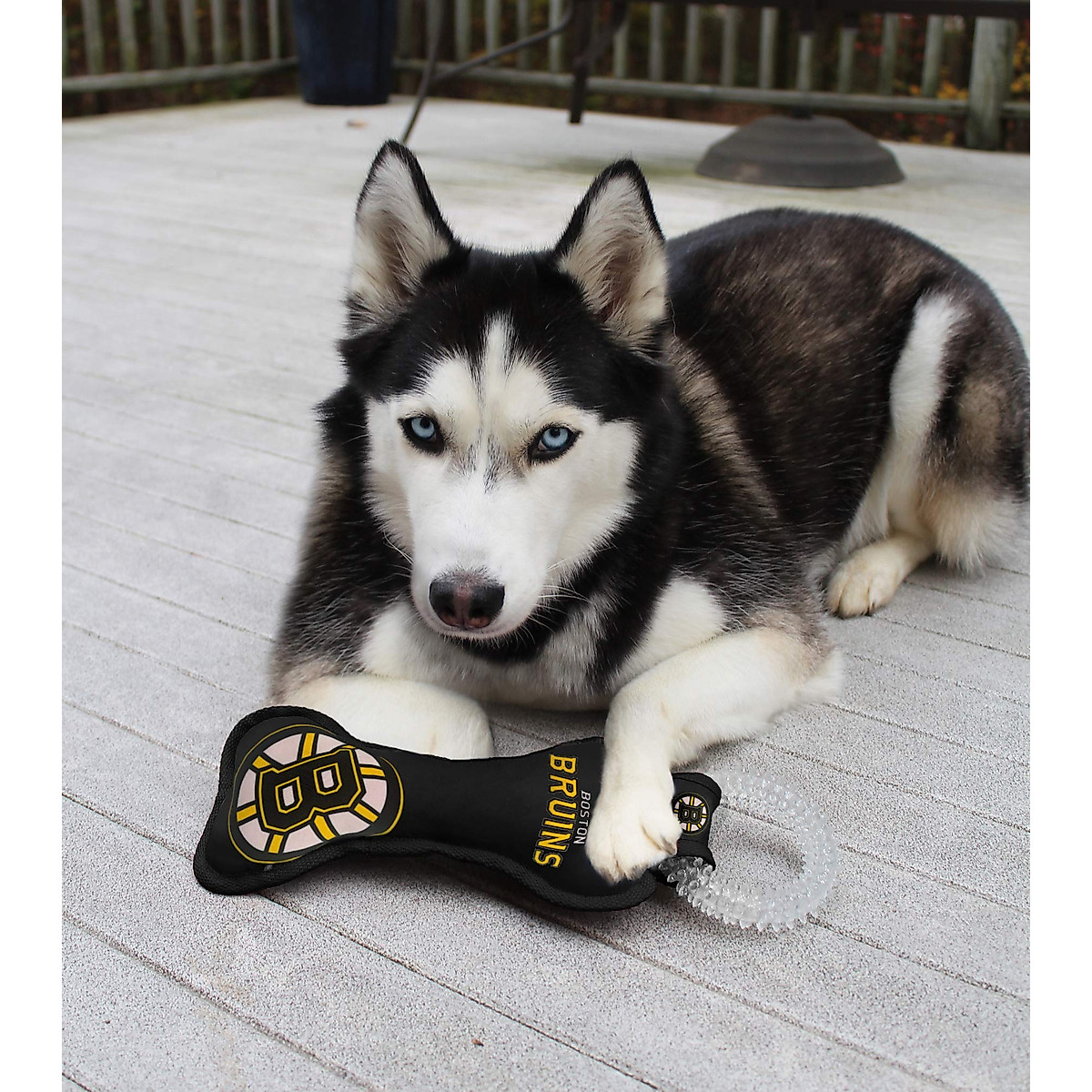 Pets First NHL Boston Bruins Dental Dog TUG Toy with Squeaker. Tough PET Toy for Healthy Fun, Teething & Cleaning Pet's Teeth & Gum., Team Color, one Size (BRU-3310)