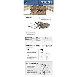 Progress Lighting P250000-081 Springer Ceiling Fans, 60 in, Nickel