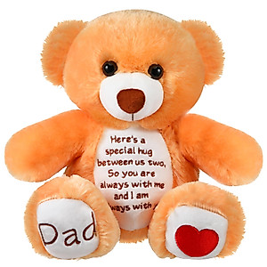 Sympathy Bears for Boys and Girls Loss of Dad, Memorial Stuffed Animal for Loss of Dad Boys and Girls Sympathy Gift for Grieving Bear Plush Toy for Condolences Memorial Loss of Loved