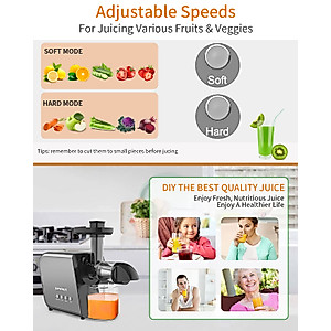 Celery Juicer Machines Easy To Clean,Electric Cold Press Juicer Extractor Leafy Greens Wheatgrass Beet,Quiet Vegetables and Fruits Juicer 250W Motor,Reverse Function,Low Speed,BPA Free,Dishwasher Safe