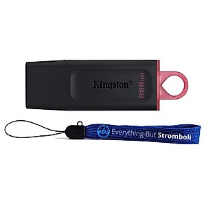 Kingston 256GB Flash Drive DataTraveler Exodia USB 3.2 High Speed 100MB/s USB for Computer (DTX/256GB) Bundle with 1 Everything But Stromboli Lanyard