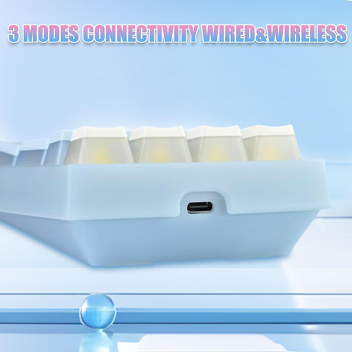 BOYI TD21 HotSwap Mechanical Numeric Keypads,21 Keys Mini Numpad Portable Keypad BT5.0/2.4G/Wired Keyboard RGB Number Pad Wireless Numeric Keypad(Blue Color with OEM Profile Pudding Keycaps)