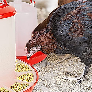 winemana Chick Feeder 1 Lb and Waterer 1.5 L Kit, Hanging Poultry Plastic Containers for Outdoor (Size: 7" x 7" )