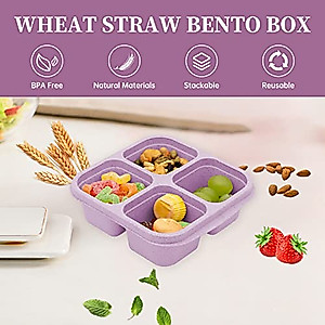Luriseminger Bento Lunch Box，4 Compartment Snack Containers，Divided Snack Box，Meal Prep Lunch Containers FOR Kids/Toddle/Adults,Food Storage Containers for School, Work and Travel (Multicolor-5pack)