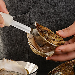 Zsirue Oyster Shucking Knife, 2.75" New Haven Style Oyster Shucker Clam Knife with Non-Slip Poly Handle, Seafood Opener Seafood Tools (Black)