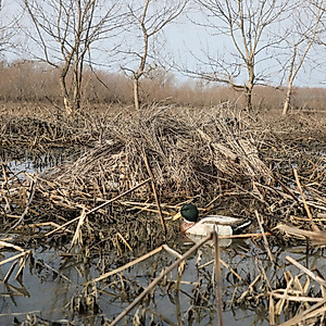 Momarsh Invisi Lay Blind System for Waterfowl Hunting in Optifade Marsh