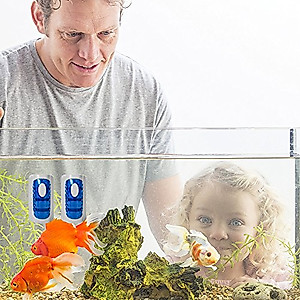 DaToo Aquarium Cleaner Fish Tank Glass Cleaner Algae Cleaner Scraper Magnetic Scrubber Algae Clean Brush, 2 Pcs, 1 Yr Warranty