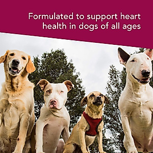 VETRISCIENCE Vetri Cardio Canine Complete Cardiovascular Support for Dogs with CoQ10, Taurine and Arginine, 60 Chews